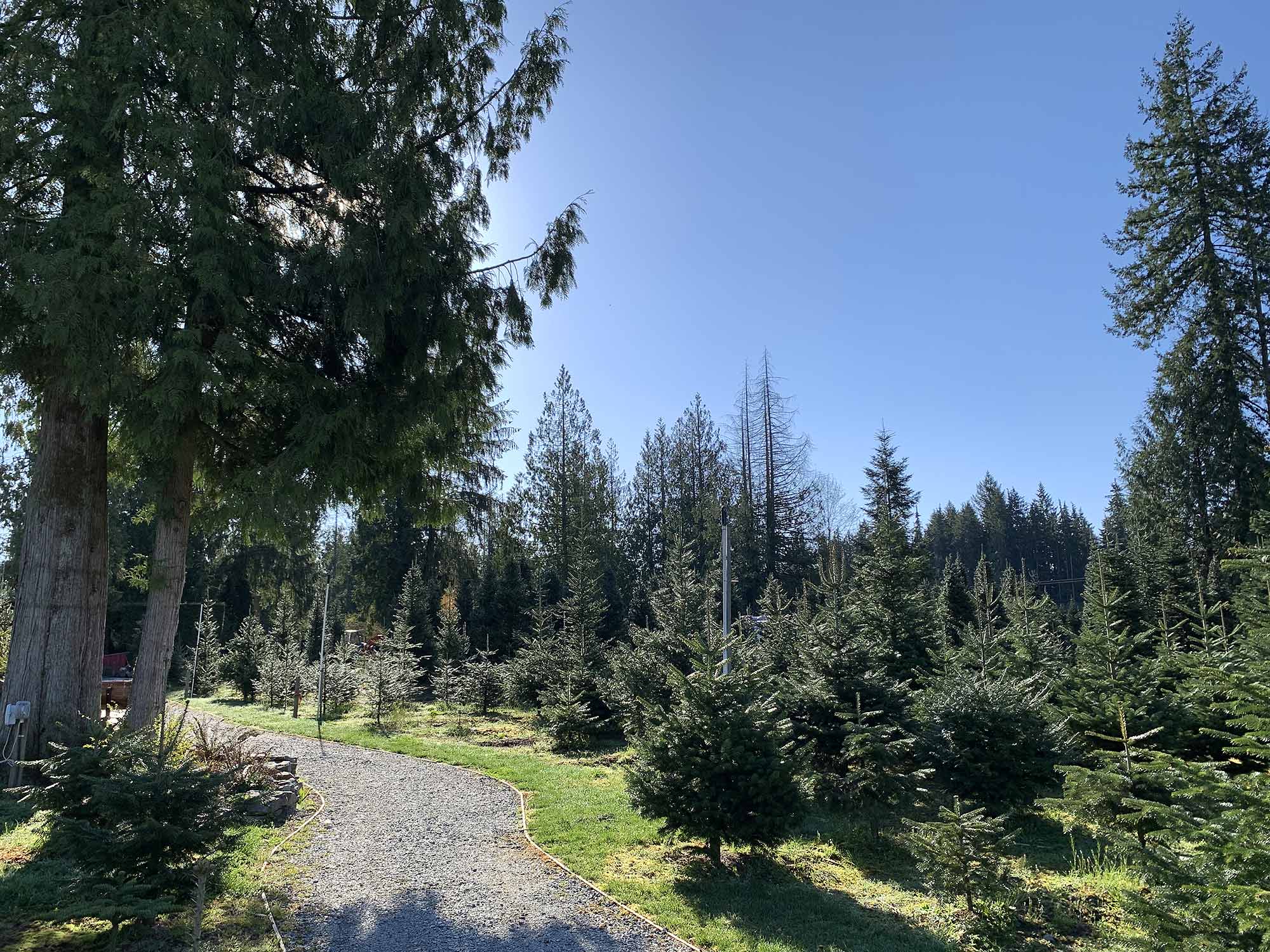 Educational Farm Tour – Murphy's Tree Farm
